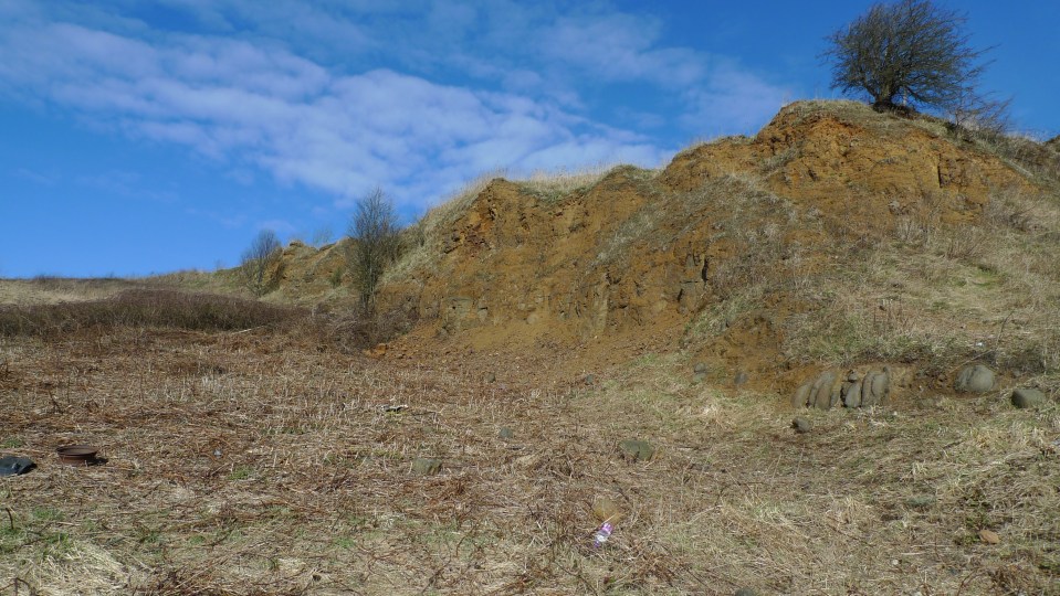 Geology | Friends of Rowley Hills